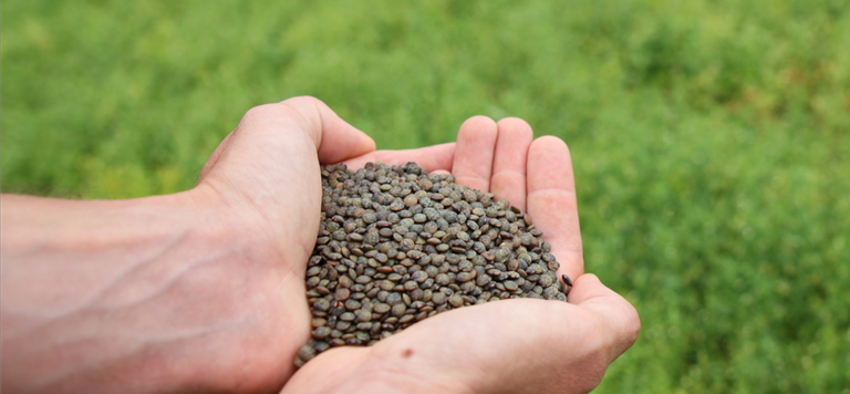 La coopérative Qualisol rejoint le collectif Biopartenaire