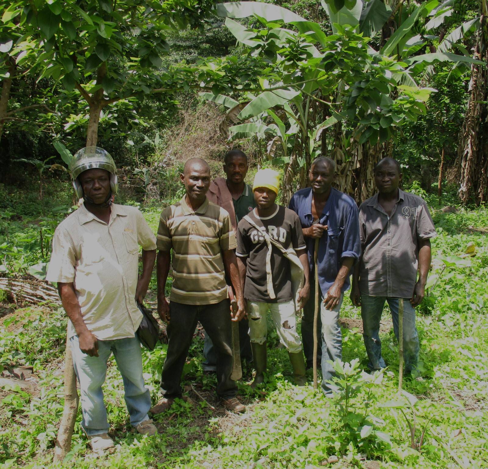 Découvrez les fèves de cacao équitables et bio de PROCAB (Togo)